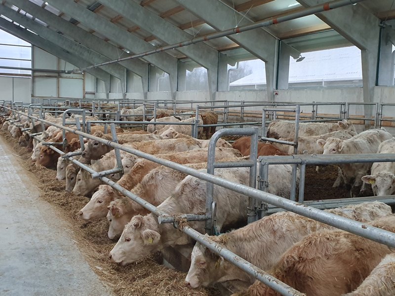 Igor Miljak, predsjednik Uprave PPK: „Očuvat ćemo tradiciju i kvalitetu ...